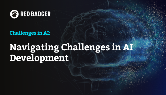 Navigating Challenges in AI Development
